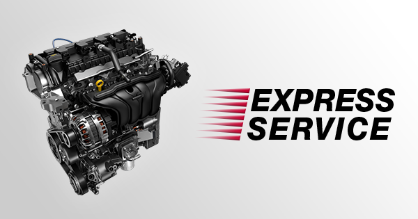 Conoce Servicio Express